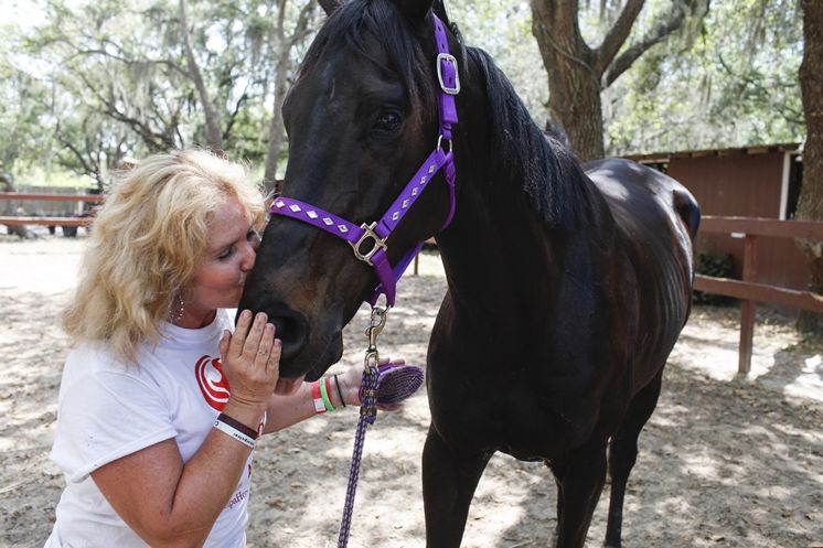 How to Volunteer – Solid Ground Equine Assisted Services