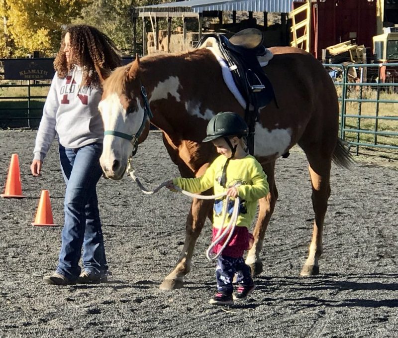 How to Volunteer – Solid Ground Equine Assisted Services